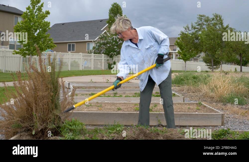 Hoe hoes hoeing Stock Videos & Footage - HD and 4K Video Clips - Alamy