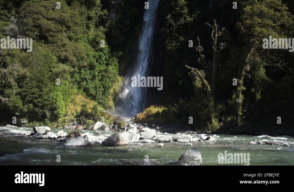 River running in front of a Waterfall in a dense native forest. static ...