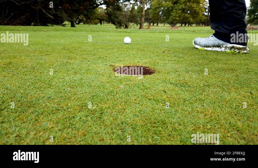 Golf ball on tea Stock Videos & Footage - HD and 4K Video Clips - Alamy