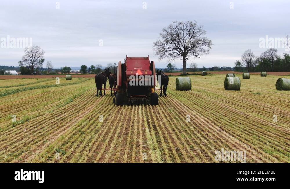 Finished bale Stock Videos & Footage - HD and 4K Video Clips - Alamy