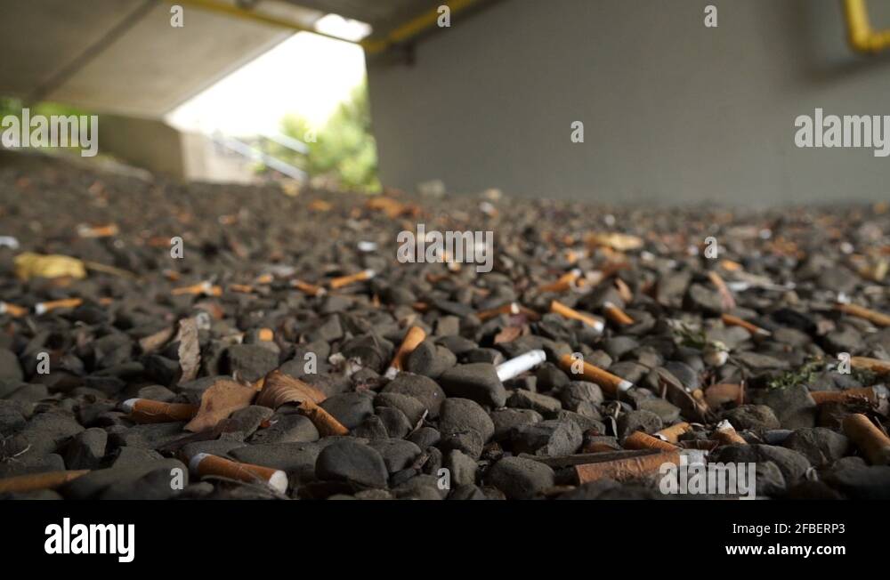 Cigarette litter Stock Videos & Footage - HD and 4K Video Clips - Alamy