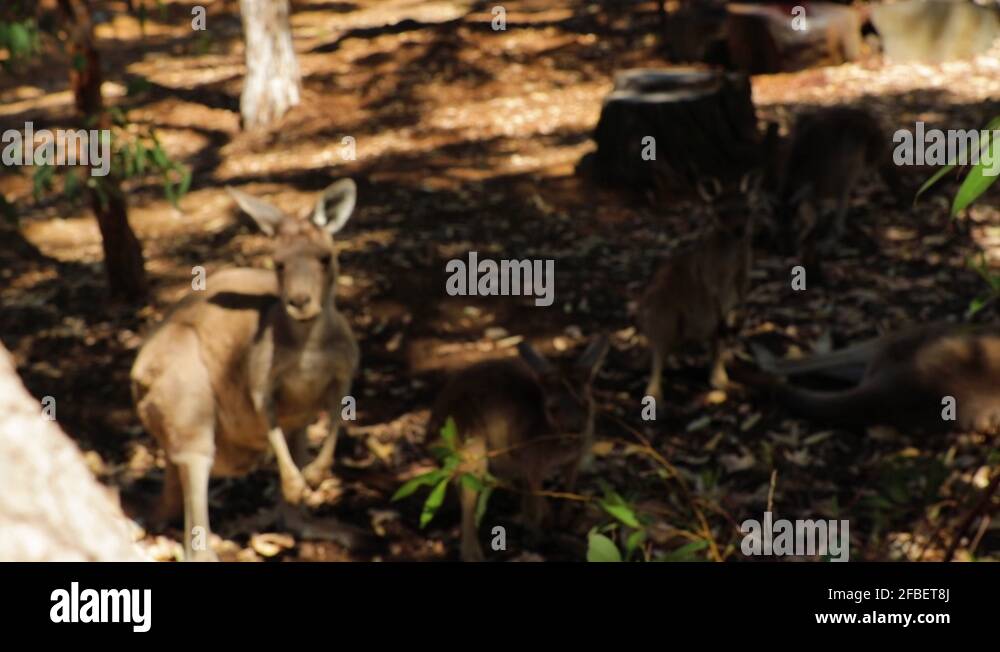 From above point of view Stock Videos & Footage - HD and 4K Video Clips ...