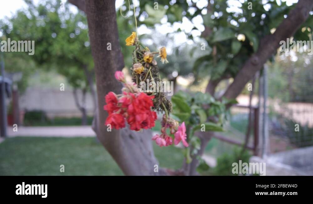 Hanging flowers border Stock Videos & Footage - HD and 4K Video Clips ...