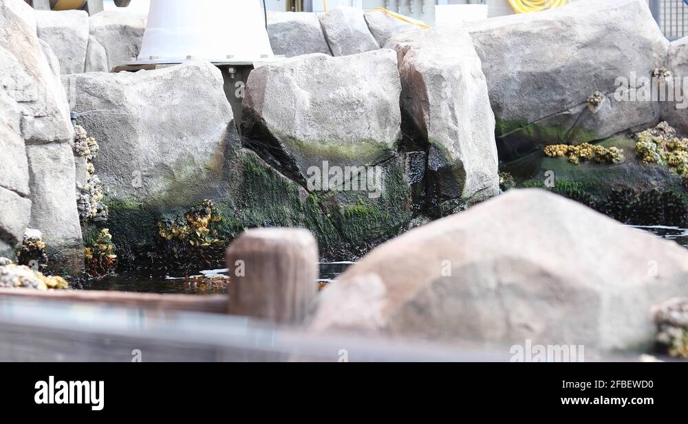 Wave power machine Stock Videos & Footage - HD and 4K Video Clips - Alamy