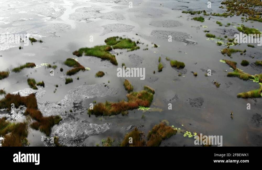 Pitch / Bitumen Lake on the island of Trinidad and Tobago in the ...