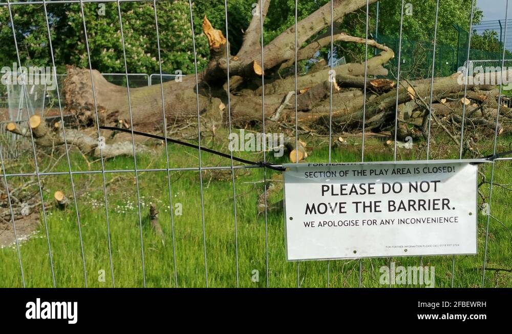 Tree notice Stock Videos & Footage - HD and 4K Video Clips - Alamy