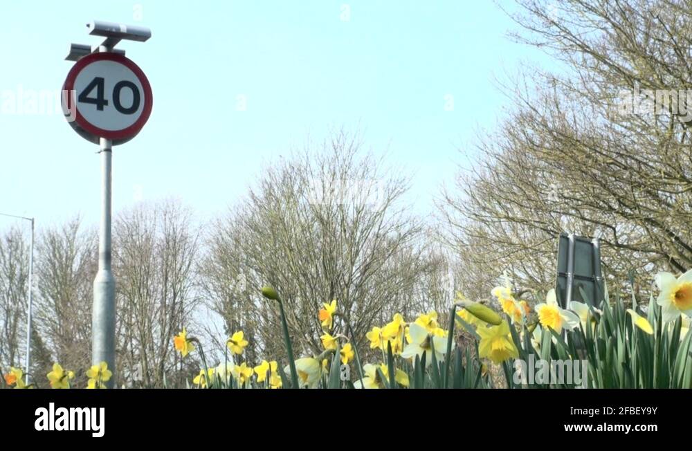 40 speed sign Stock Videos & Footage - HD and 4K Video Clips - Alamy
