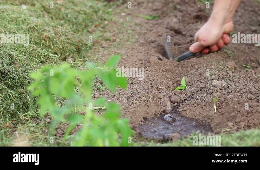 Man made land Stock Videos & Footage - HD and 4K Video Clips - Alamy