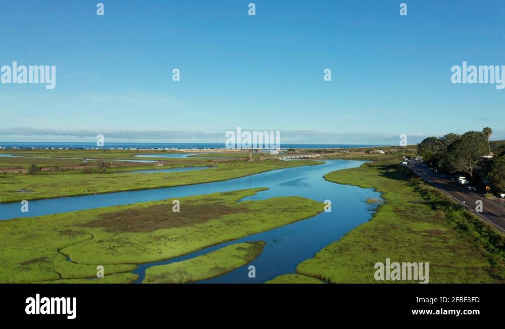 At the edge of a wetland Stock Videos & Footage - HD and 4K Video Clips ...