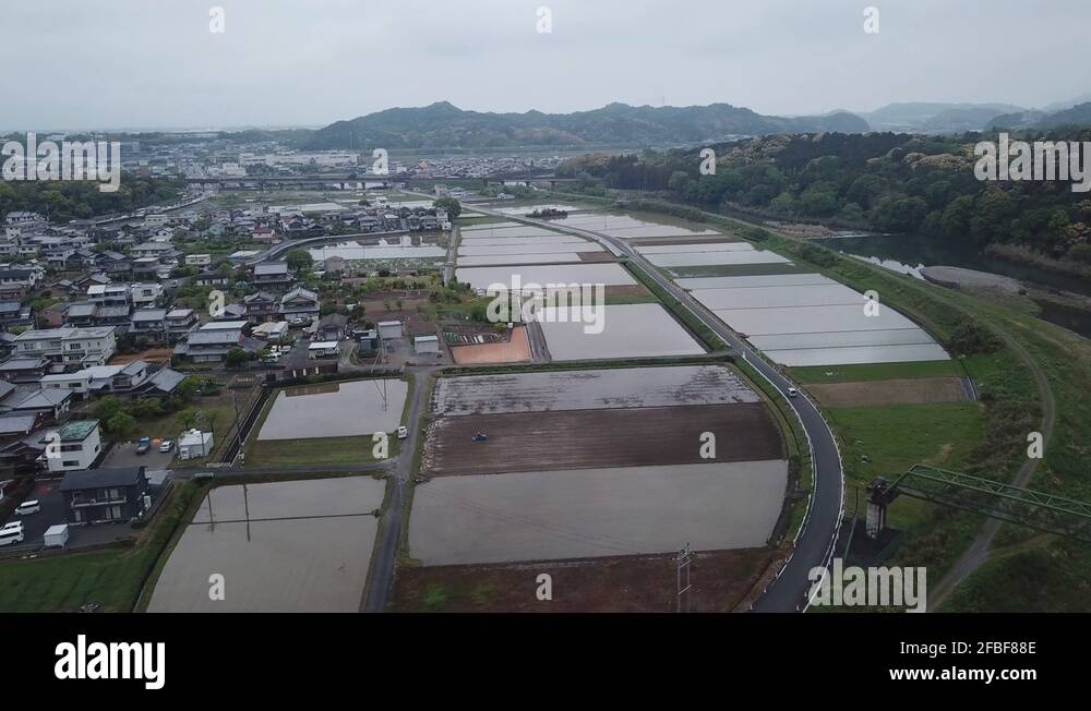 Traditional japanese agriculture Stock Videos & Footage - HD and 4K ...