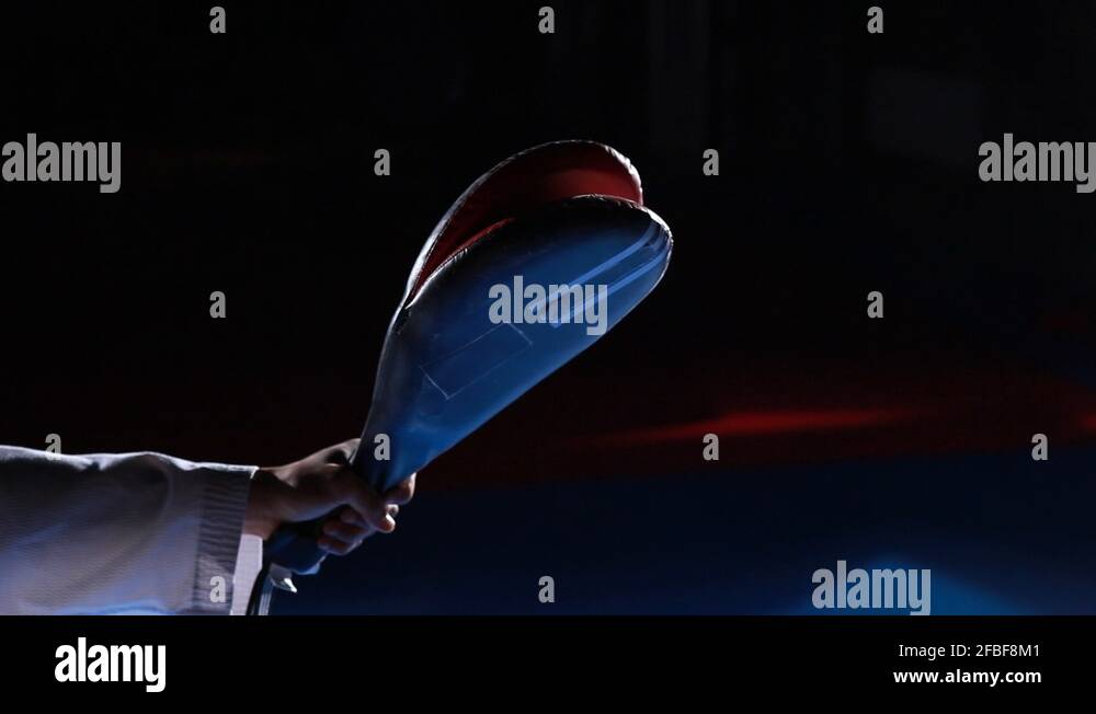 Taekwondo kick korean Stock Videos & Footage - HD and 4K Video Clips ...