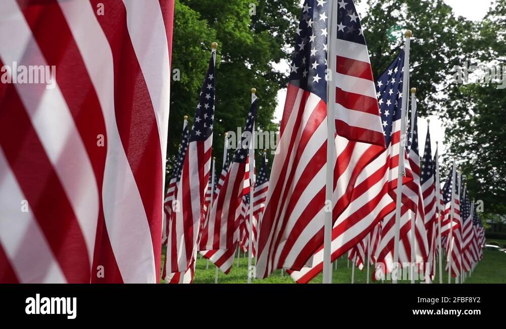 Rows of American flags blowing in the wind. Smooth tracking shot Stock ...