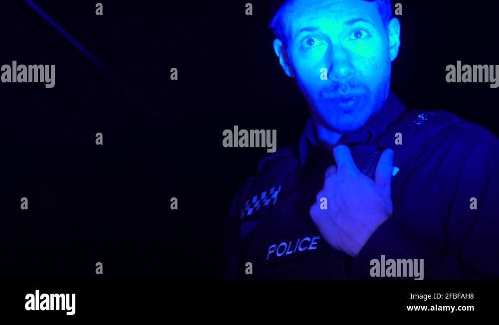 Male Police Officer Using Radio To Run License Plate Number Stock Video ...