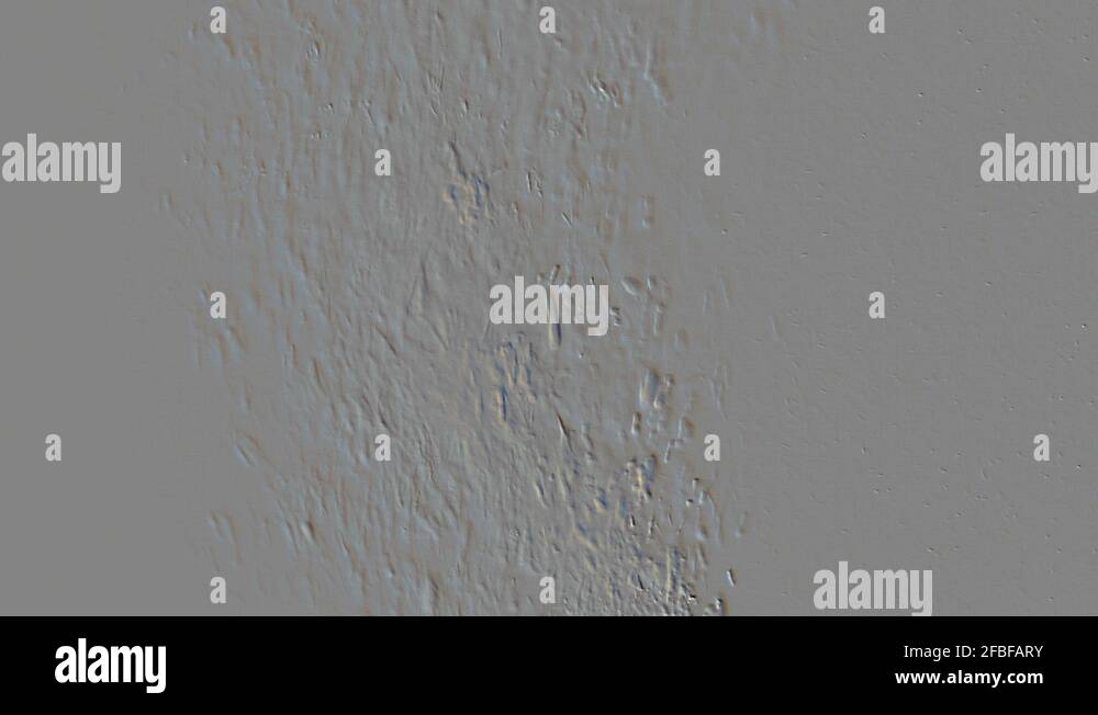 High power magnification Stock Videos & Footage - HD and 4K Video Clips ...