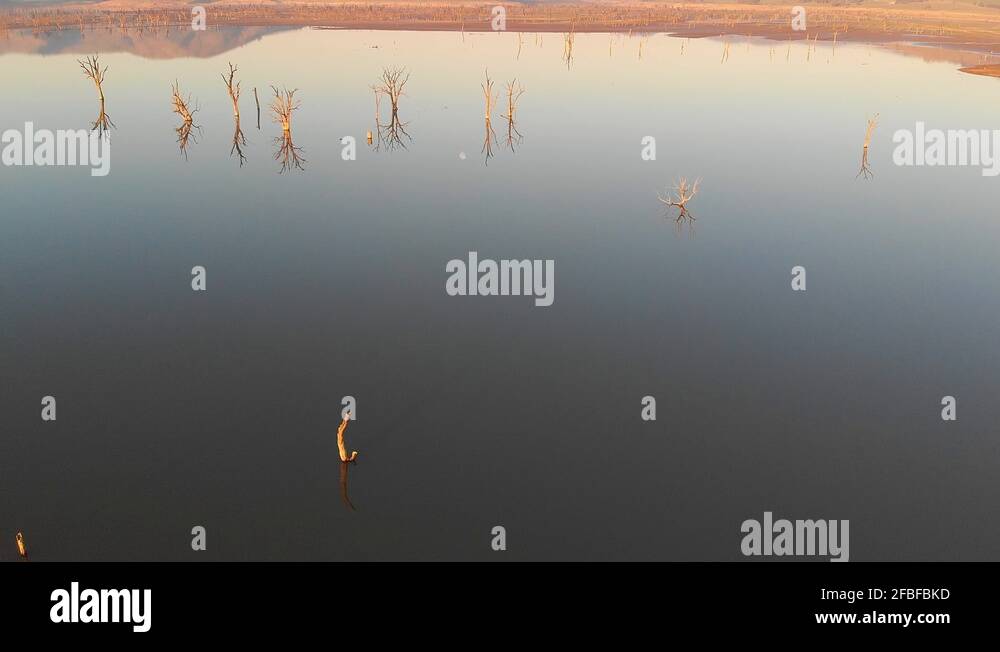 Vista with tree Stock Videos & Footage - HD and 4K Video Clips - Alamy