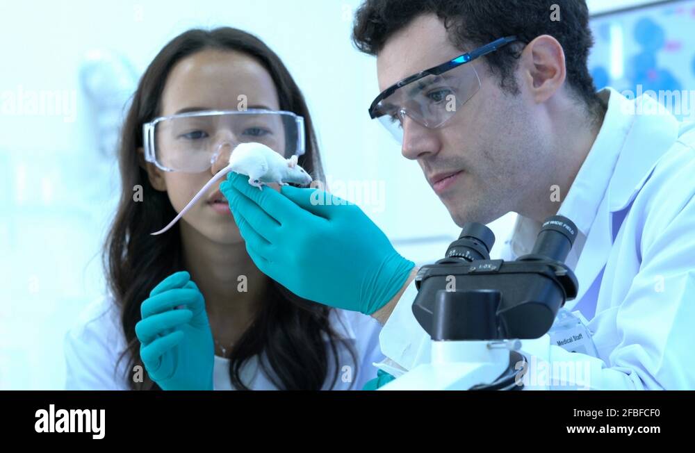 Pharmacy animals Stock Videos & Footage - HD and 4K Video Clips - Alamy