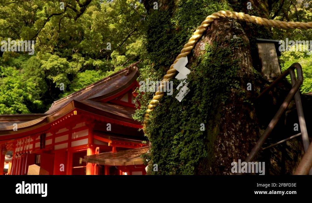 Rope and temple Stock Videos & Footage - HD and 4K Video Clips - Alamy