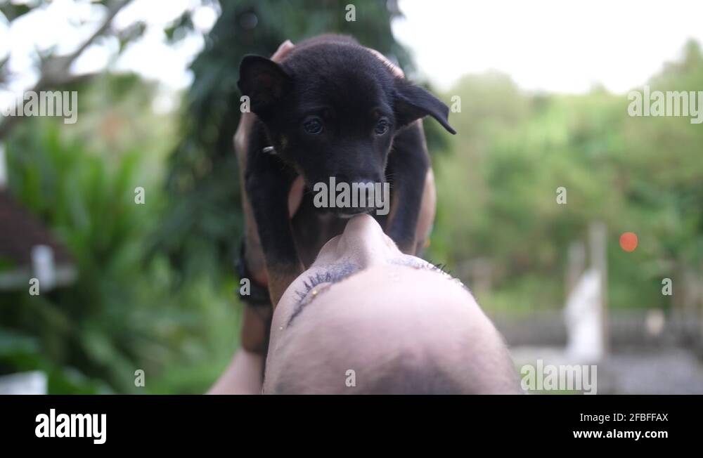 Black woman shaved head Stock Videos & Footage - HD and 4K Video Clips ...