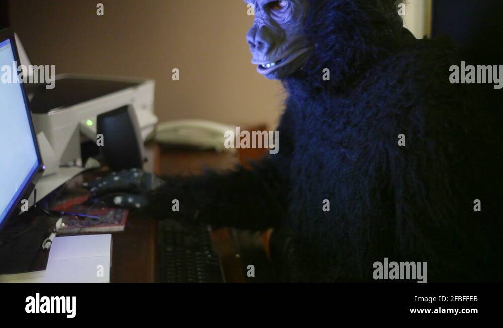 Monkey typing Stock Videos & Footage - HD and 4K Video Clips - Alamy