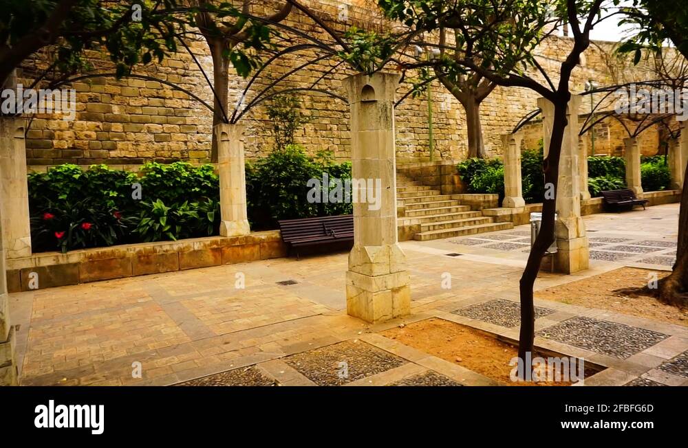 Tree trunk pillars Stock Videos & Footage - HD and 4K Video Clips - Alamy