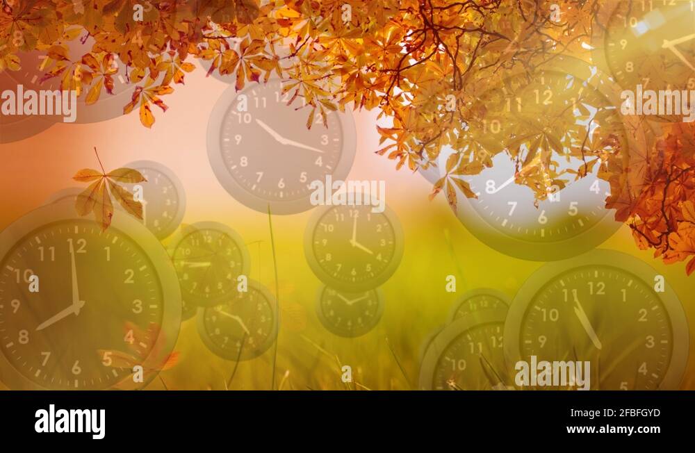 Tree of clocks Stock Videos & Footage - HD and 4K Video Clips - Alamy