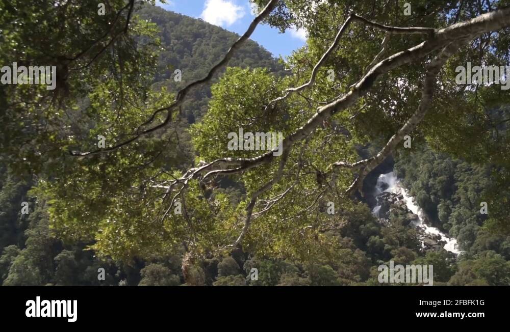 Roaring billy falls Stock Videos & Footage - HD and 4K Video Clips - Alamy