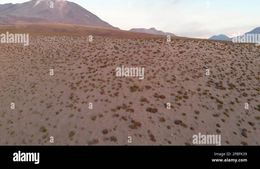 Desert vegetation volcano Stock Videos & Footage - HD and 4K Video ...