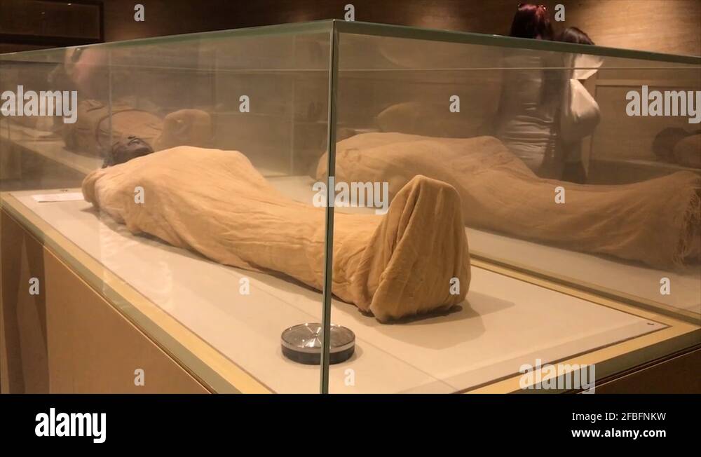 Royal mummy cairo Stock Videos & Footage - HD and 4K Video Clips - Alamy