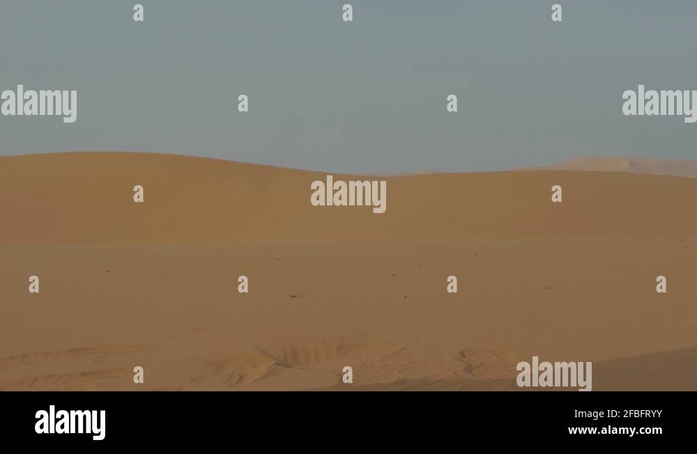 Line of camels Stock Videos & Footage - HD and 4K Video Clips - Alamy
