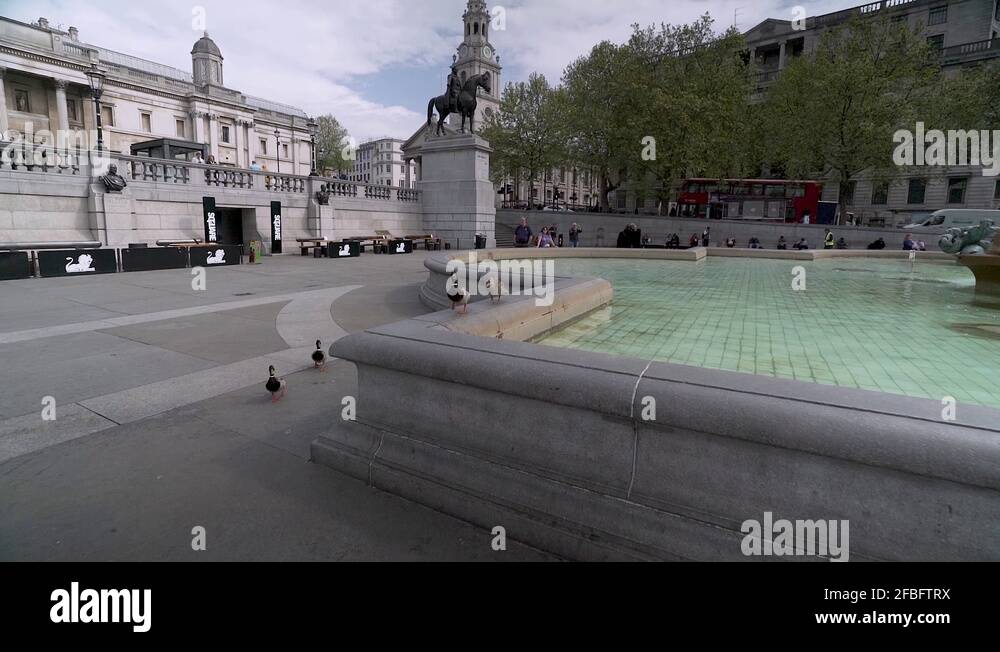 Trafalgar square swimming Stock Videos & Footage - HD and 4K Video ...