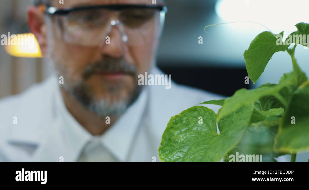 Using a thermometer Stock Videos & Footage - HD and 4K Video Clips - Alamy