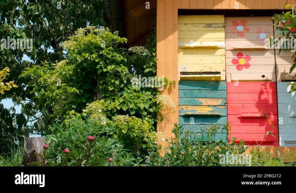 Colourful panels Stock Videos & Footage - HD and 4K Video Clips - Alamy