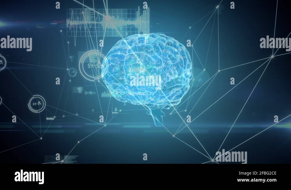 Network graphs Stock Videos & Footage - HD and 4K Video Clips - Alamy