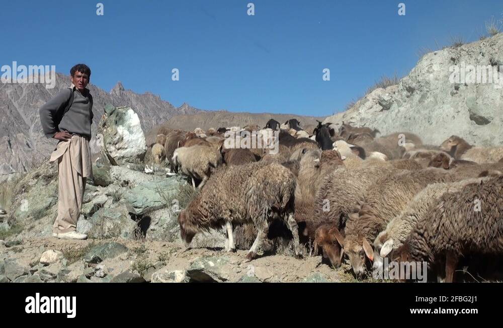 People hunza valley Stock Videos & Footage - HD and 4K Video Clips - Alamy