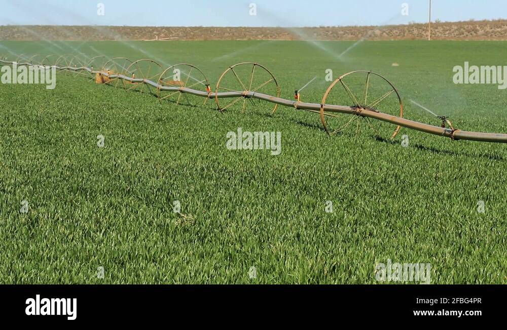 Grass lines Stock Videos & Footage - HD and 4K Video Clips - Alamy