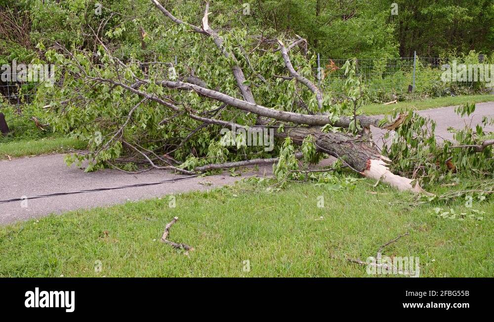 Tornado damage tree power line Stock Videos & Footage - HD and 4K Video ...