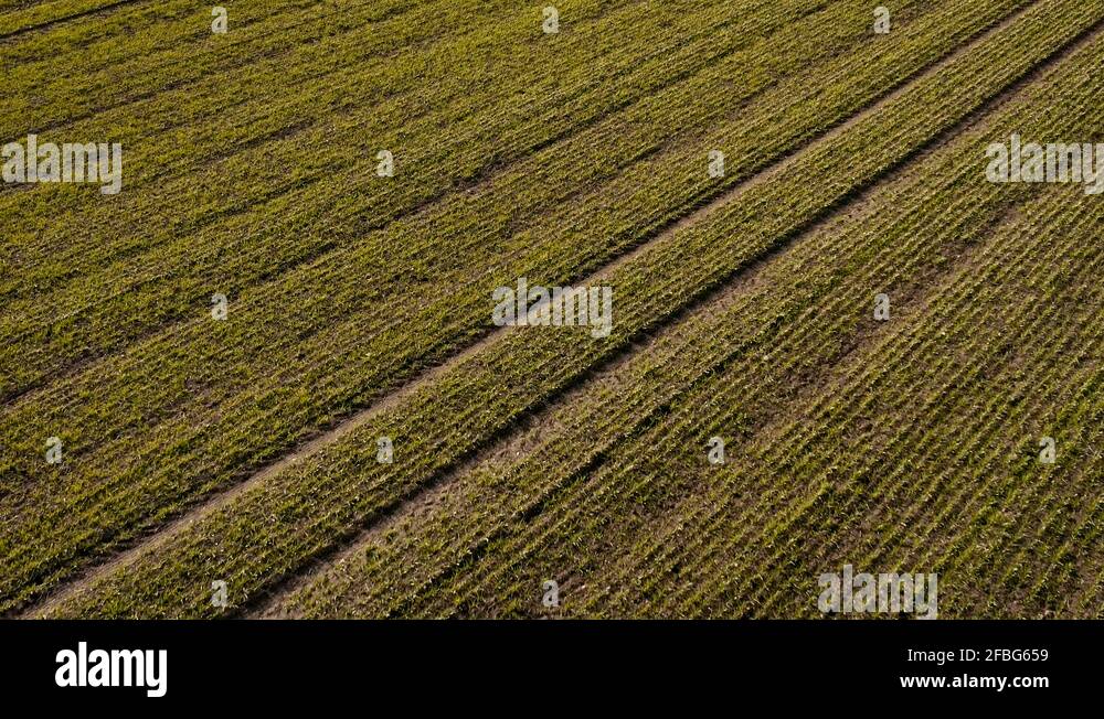 Dark soil farmland Stock Videos & Footage - HD and 4K Video Clips - Alamy