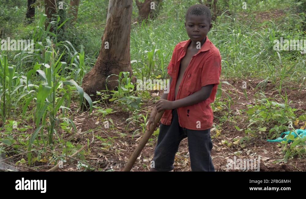 Boy in a forest Stock Videos & Footage - HD and 4K Video Clips - Alamy