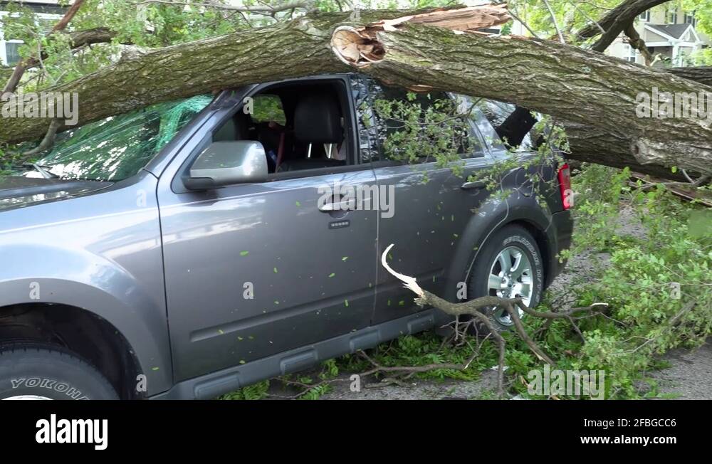 Vehicle crushed by tree blown over by tornado in Ohio Stock Video ...