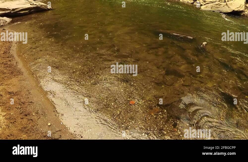 Rain hitting the water Stock Videos & Footage - HD and 4K Video Clips ...