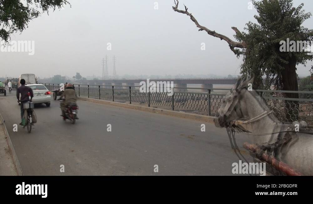 Donkey bridge Stock Videos & Footage - HD and 4K Video Clips - Alamy
