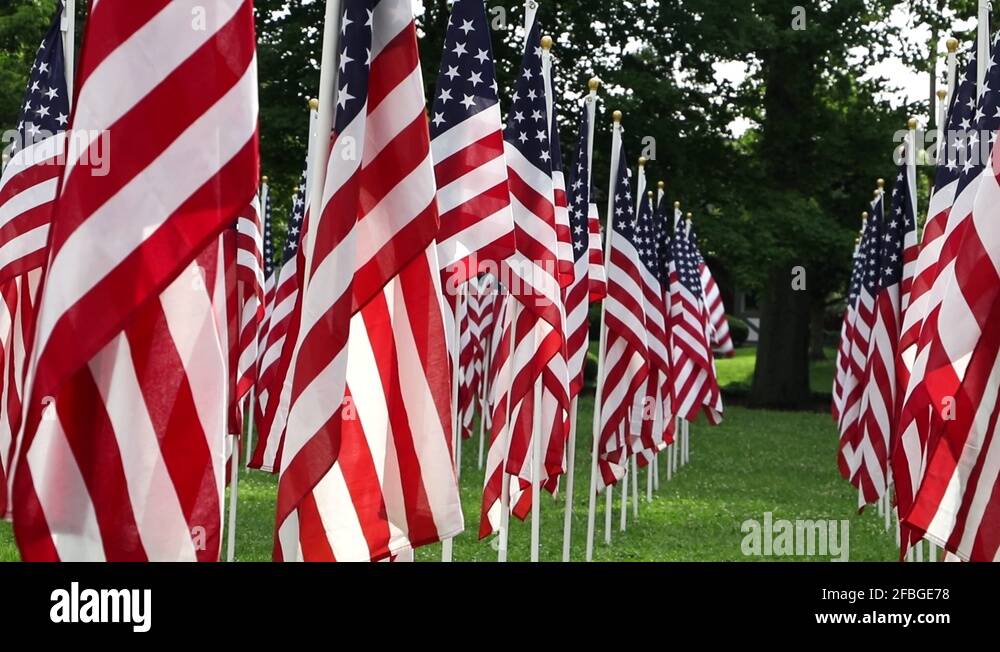 Spangled Stock Videos & Footage - HD and 4K Video Clips - Alamy