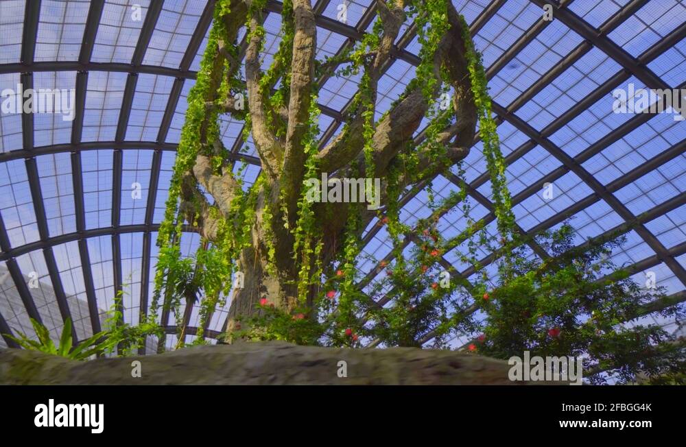 Butterfly movement Stock Videos & Footage - HD and 4K Video Clips - Alamy