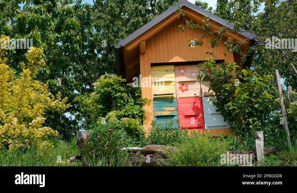 Apex roof Stock Videos & Footage - HD and 4K Video Clips - Alamy