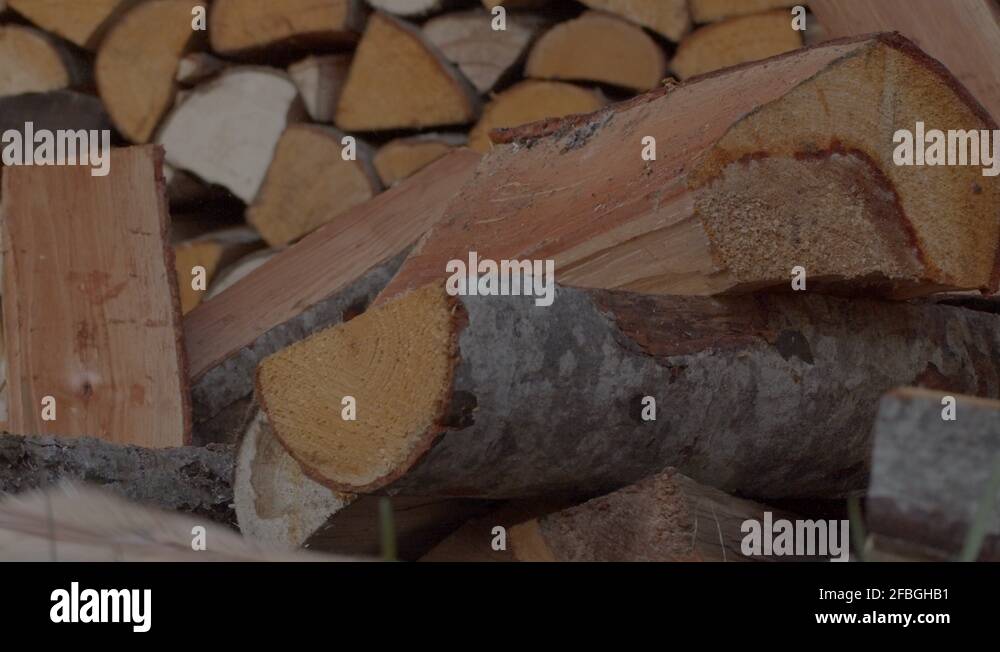 A stack of cut timber logs Stock Videos & Footage - HD and 4K Video ...