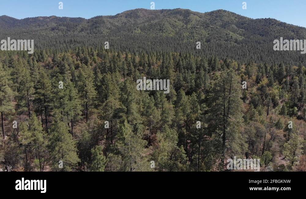 Floating high Stock Videos & Footage - HD and 4K Video Clips - Alamy