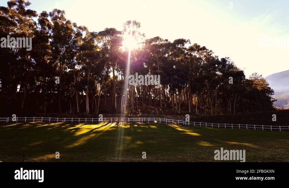 Sunlight beams above trees Stock Videos & Footage - HD and 4K Video ...