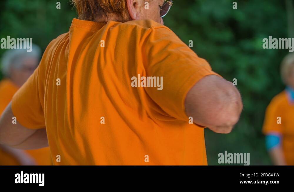 Dog upper body Stock Videos & Footage - HD and 4K Video Clips - Alamy