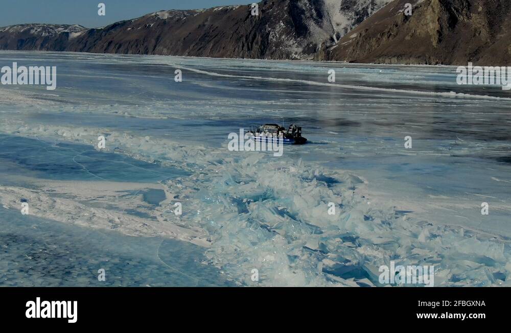 Arctic flora and fauna Stock Videos & Footage - HD and 4K Video Clips ...