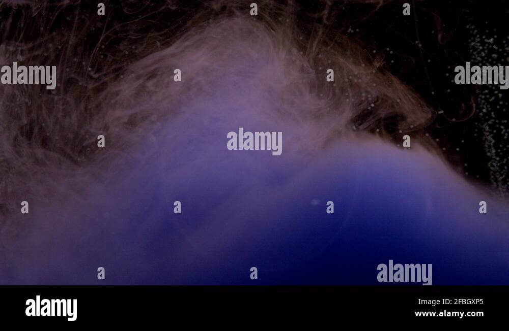 Lavender splash Stock Videos & Footage - HD and 4K Video Clips - Alamy